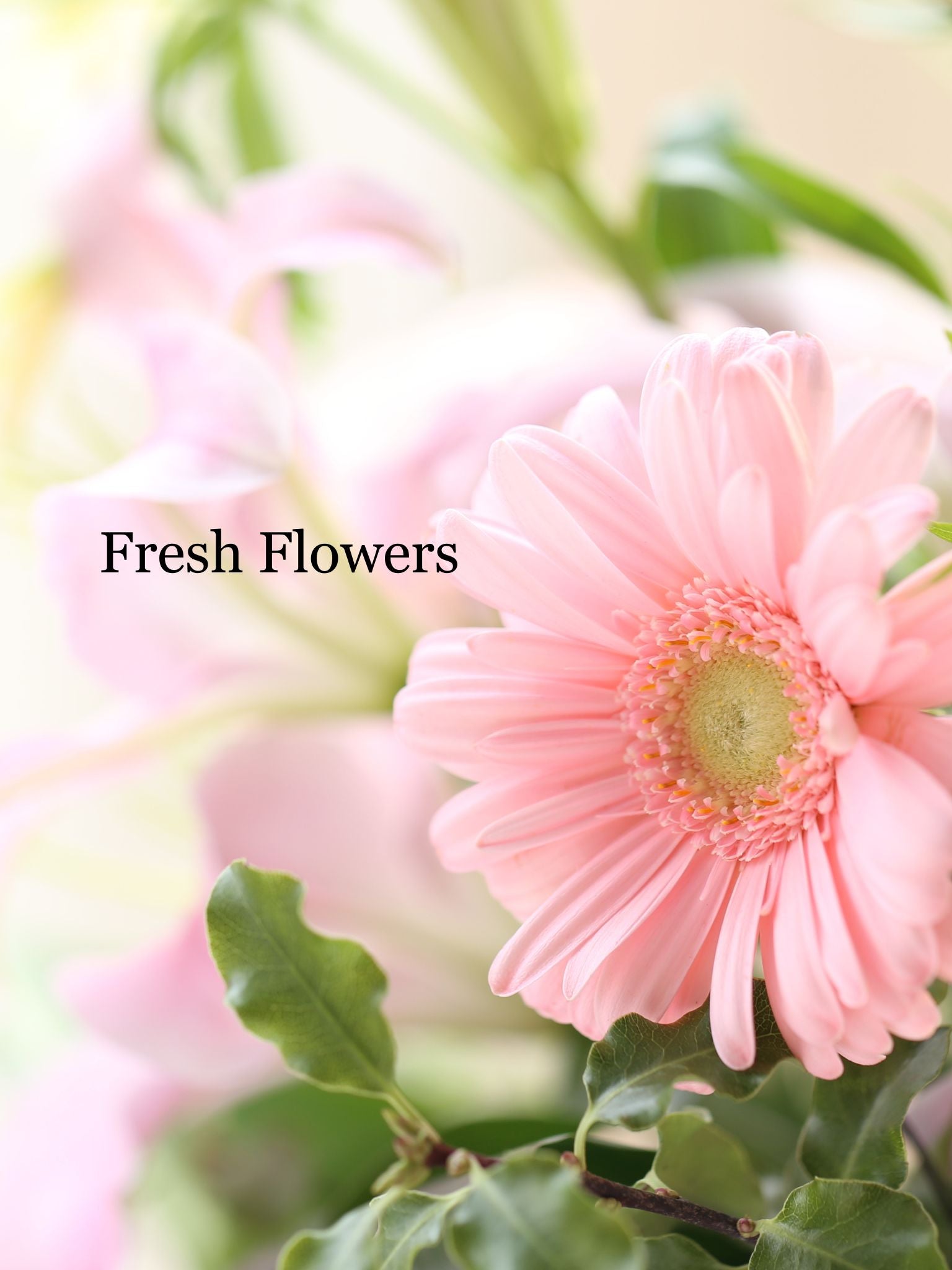 Fresh Flowers – Yvs Flower Studio